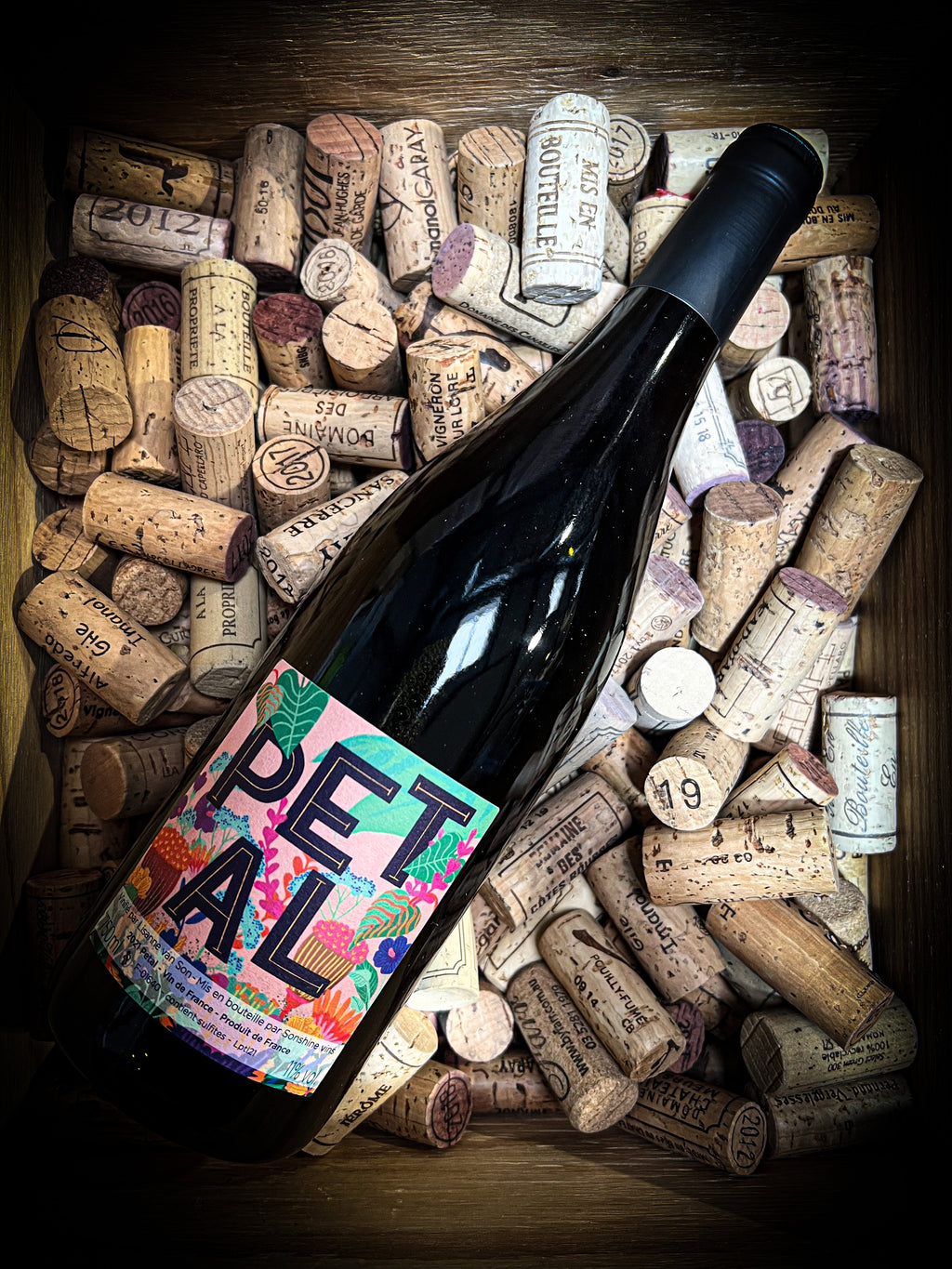 Petal 2021 - Sonshine - Lisanne Van Son – Epi-curieux