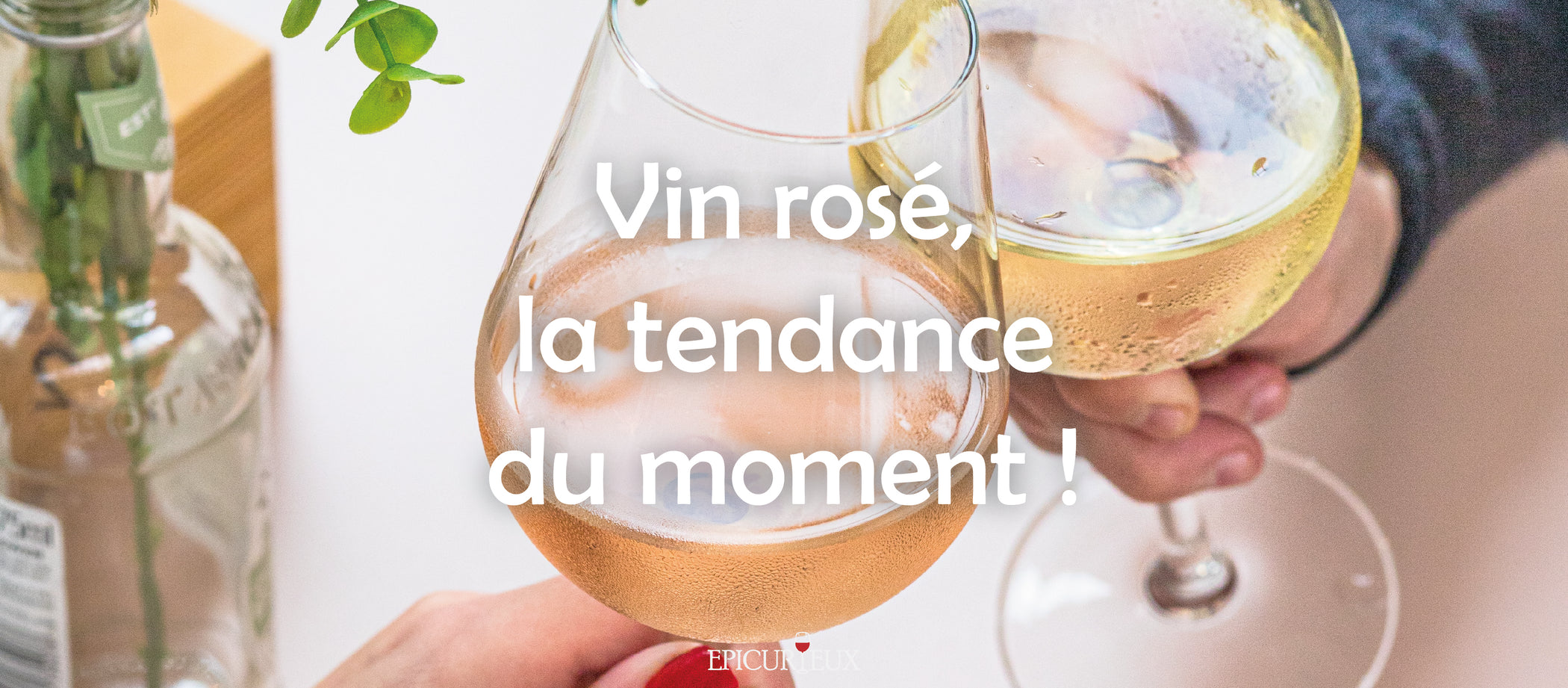 Le vin rosé, tendance du moment – Epi-curieux