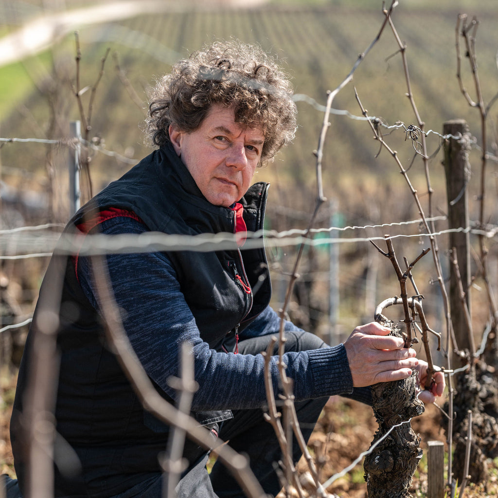 Domaine Philippe Pacalet | Le maestro de la Bourgogne – Epi-curieux