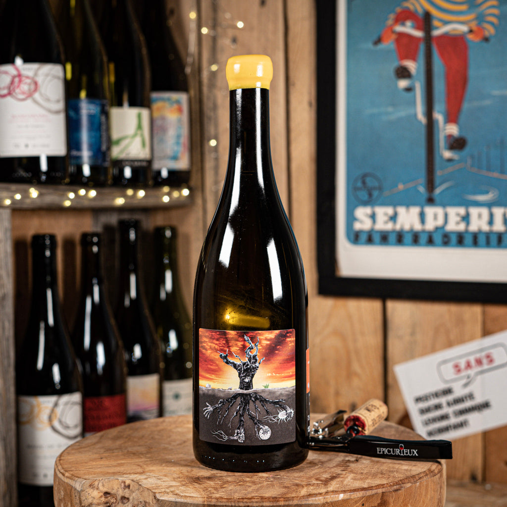 Cuvée Microbio 2020 - Microbio Wines – Epi-curieux