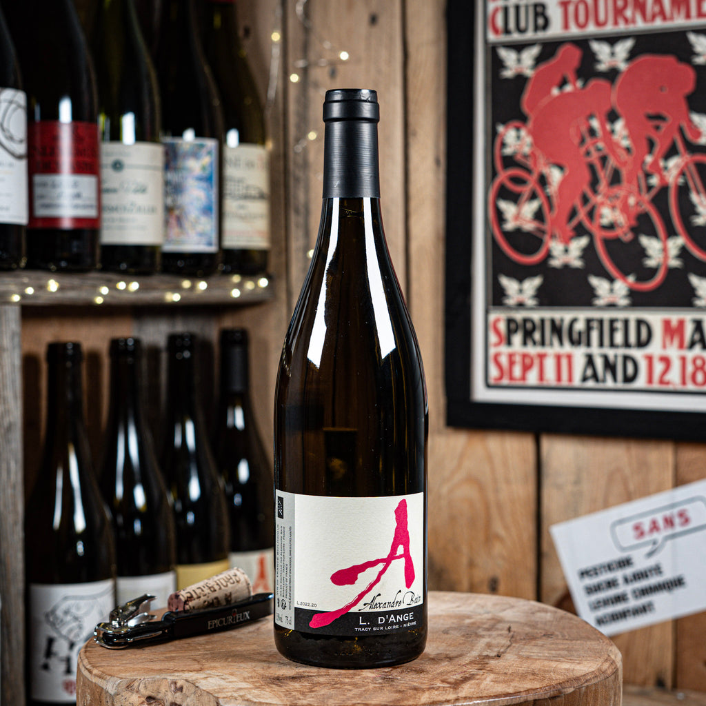 L d'Ange 2022 - Alexandre Bain – Epi-curieux