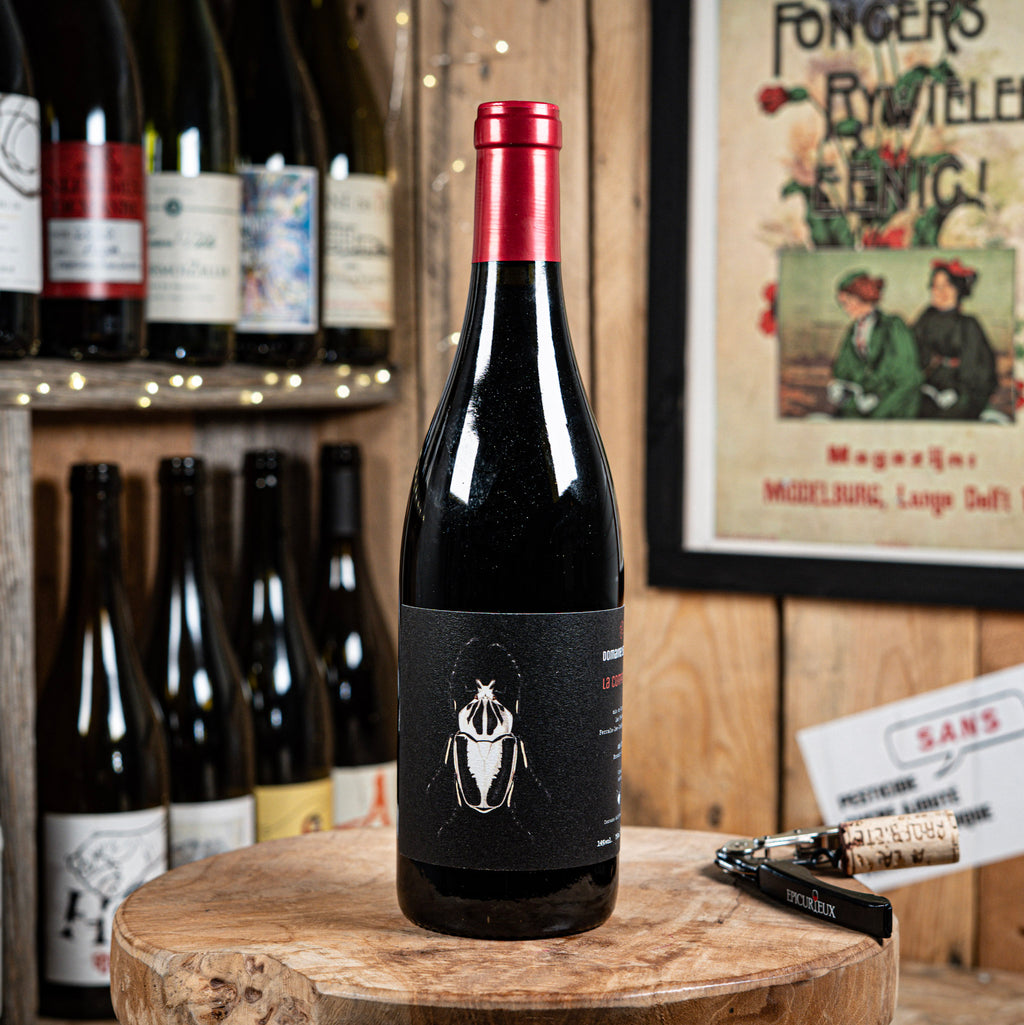 La Compagnon 2022 - Domaine Ledogar – Epi-curieux