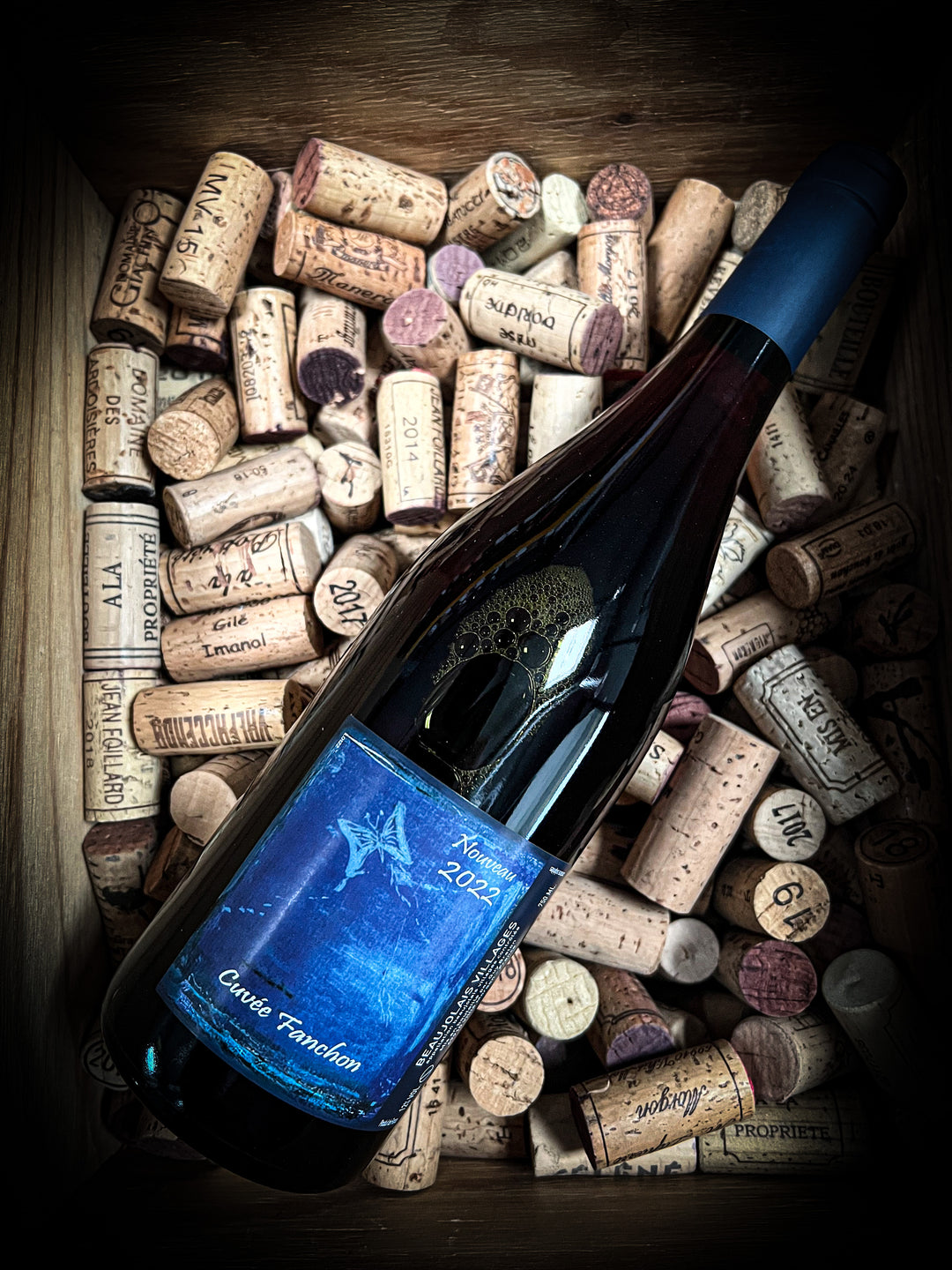 Cuvée Franchon 2022 - Guy Breton – Epi-curieux