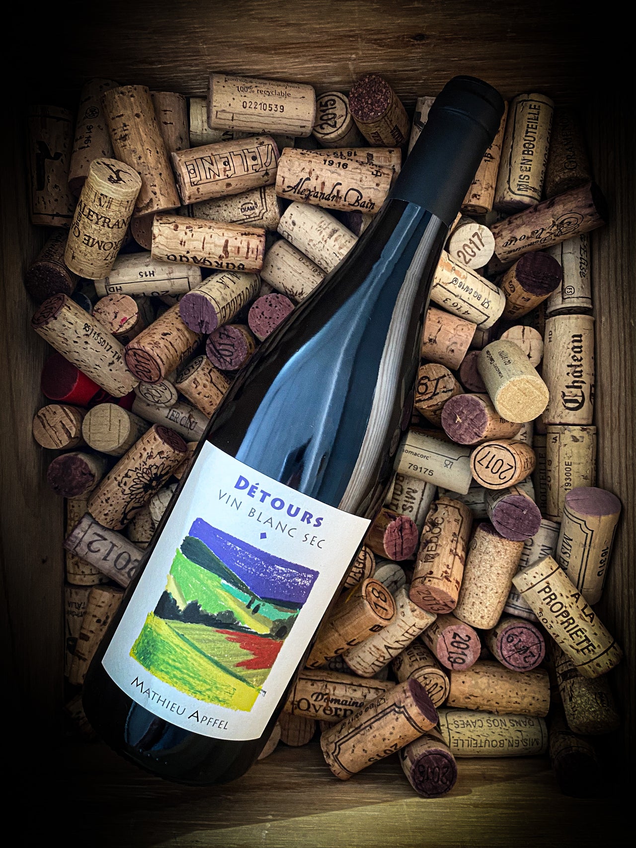 Détours 2019 - Camille & Mathieu Apffel – Epi-curieux