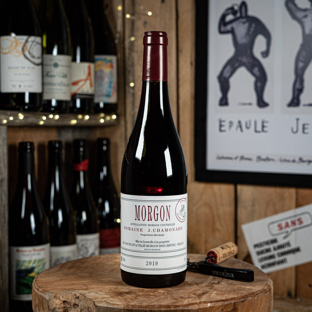 Morgon 2019 - Domaine Chamonard – Epi-curieux