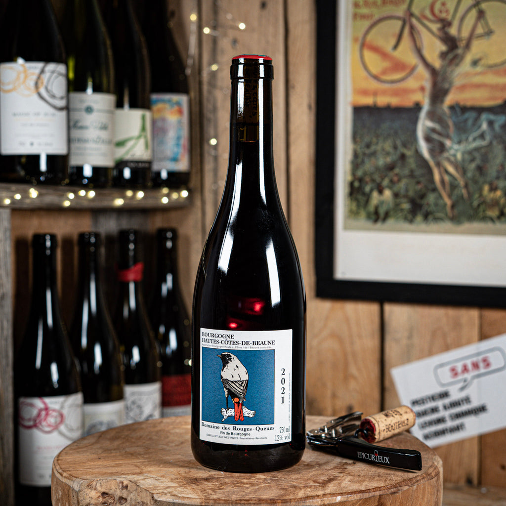 Bourgogne Hautes Côtes de Beaune Rouge 2021 - Domaine des Rouges-Queue ...