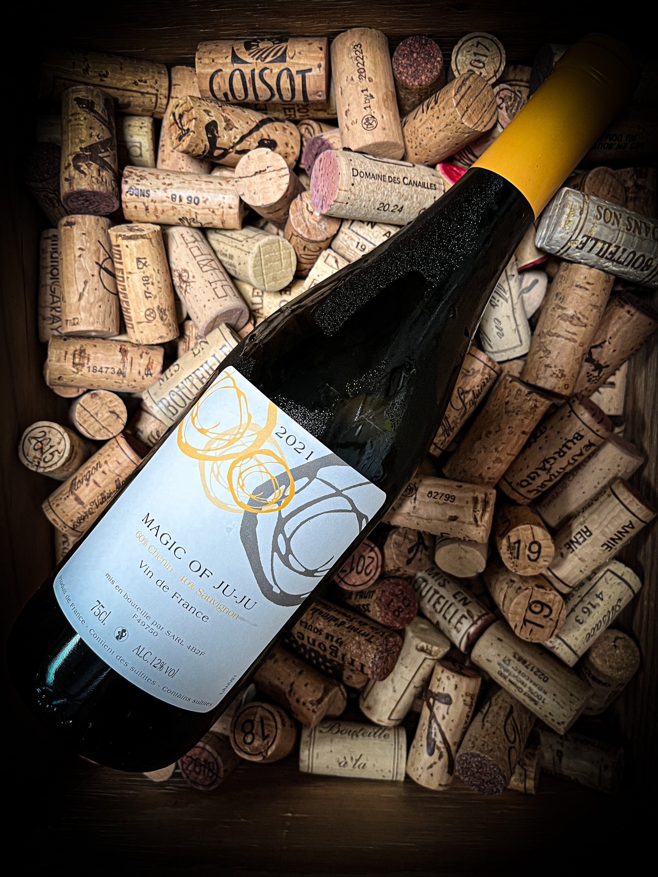 Magic of Ju-Ju 2021 - Domaine Mosse – Epi-curieux