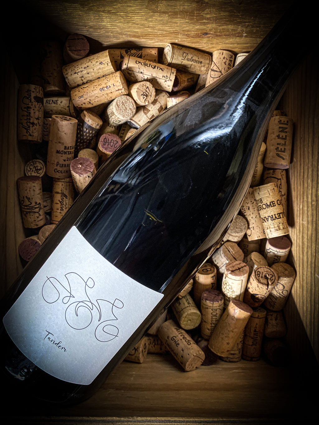 Magnum Tandem 2020 - Axel Domont – Epi-curieux