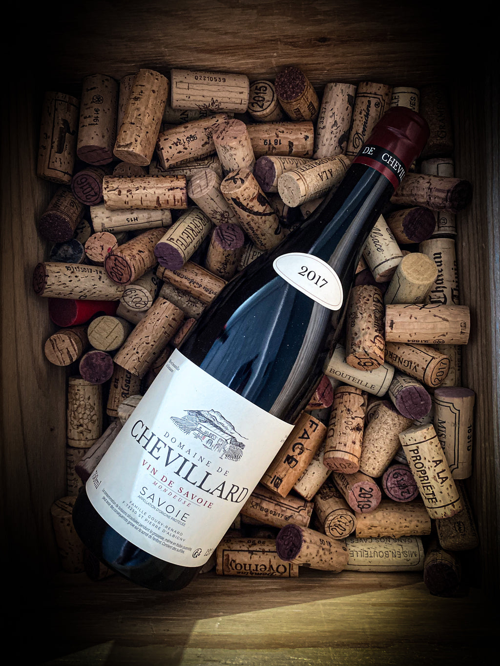 Mondeuse 2017 - Domaine de Chevillard – Epi-curieux