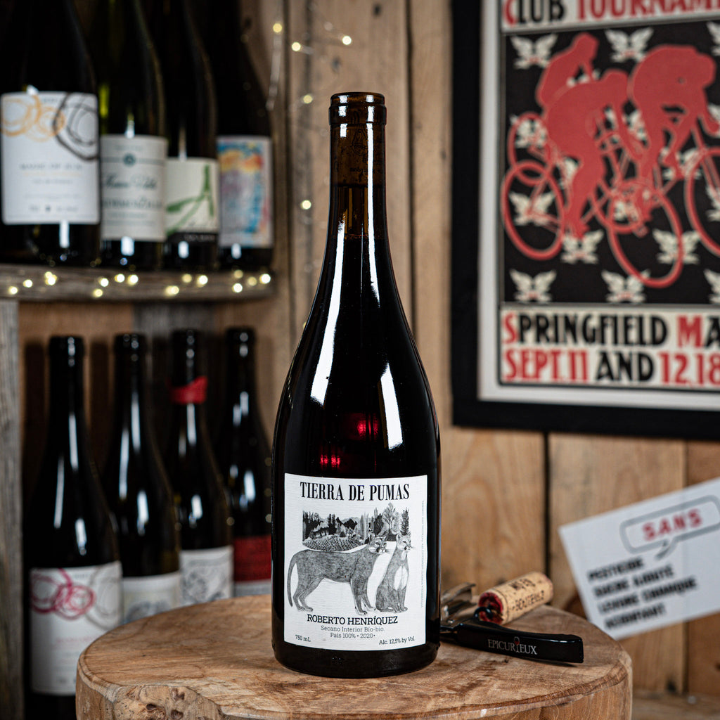 Tierra de Pumas 2020 - Roberto Henriquez - Biobio Itata – Epi-curieux