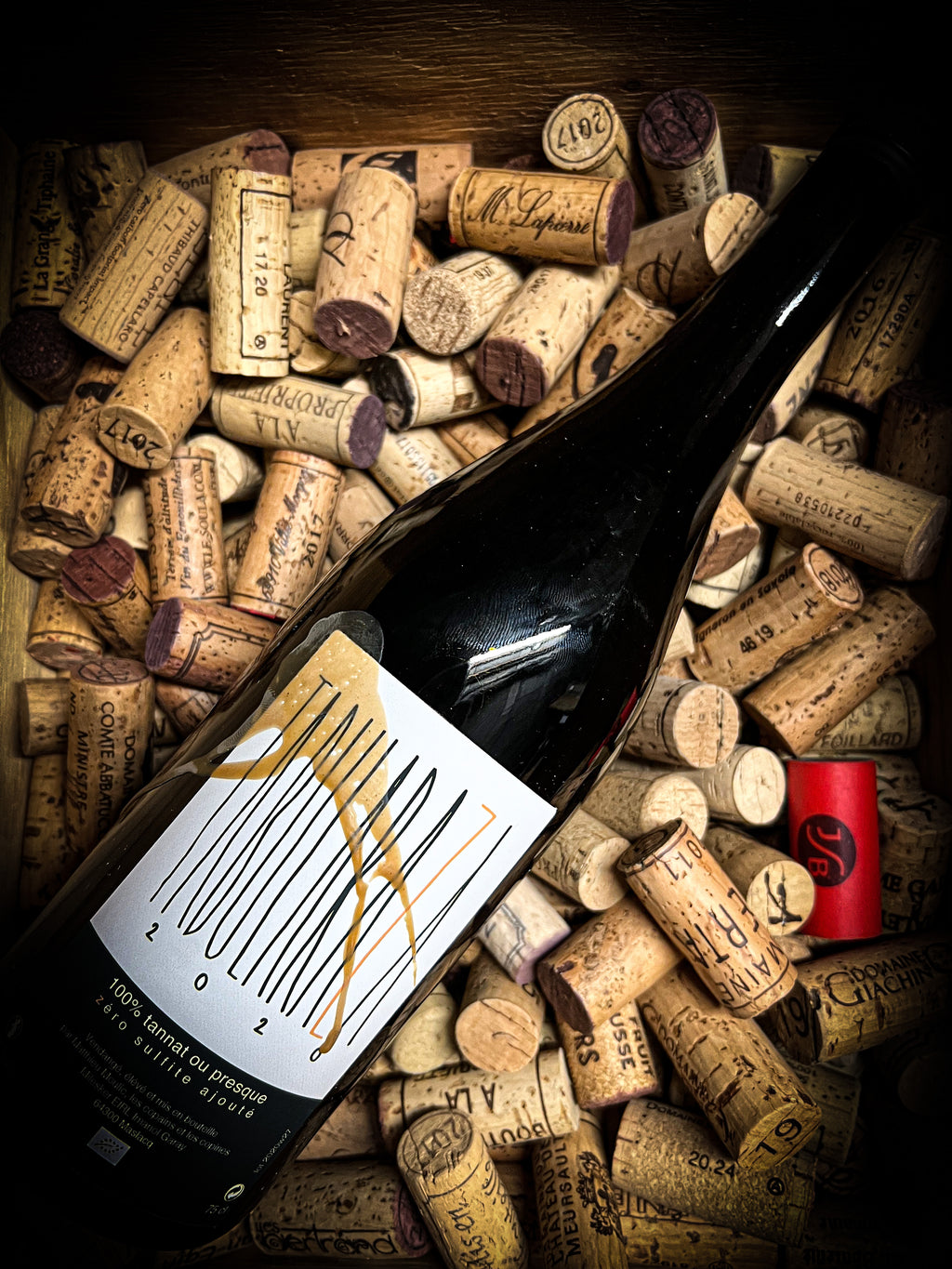 Tabularaza 2020 - Imanol Garay & Matthieu Moulic – Epi-curieux